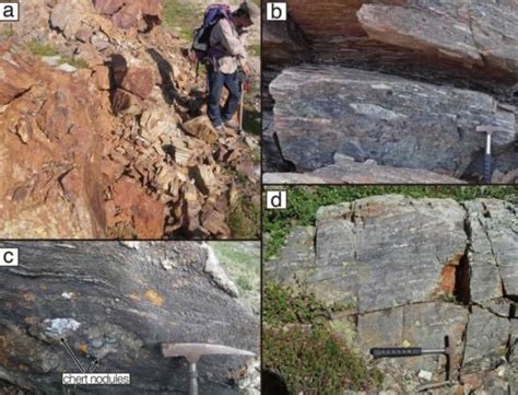 Rocks Discovered In Canada Hold The Oldest Evidence Of Life Inhabitat