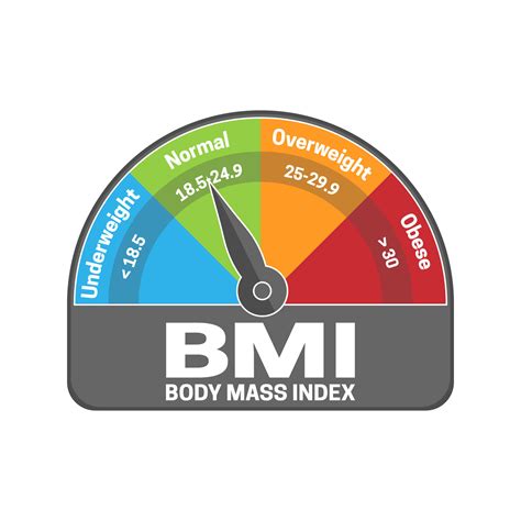 Bmi Body Mass Index Calculate Illustration Or Infographic Chart