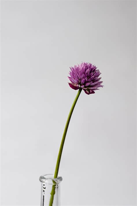 Minimalismus On Tumblr