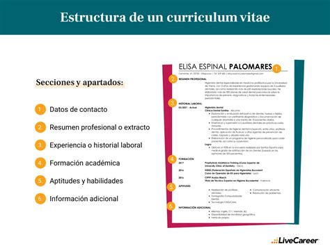 Estructura De Un Cv Cómo Hacer Un Curriculum Vitae Profesional Paso A