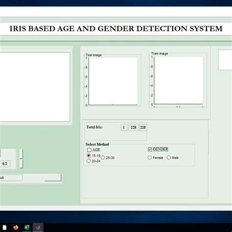 Interface Of The Detection System During The Implementation Stage Download Scientific Diagram