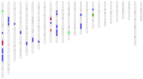 Github A Thindideogram Html Widget For Displaying Ibd Segments In