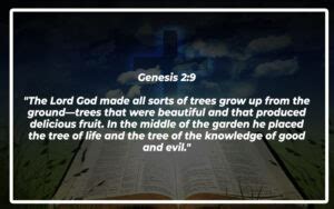 Important Bible Verses About Trees Bible Repository