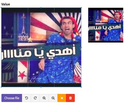 Edit Image Field · Issue 1222 · Laravel Backpackcrud · Github