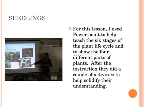 The Plant Life Cycle Ppt