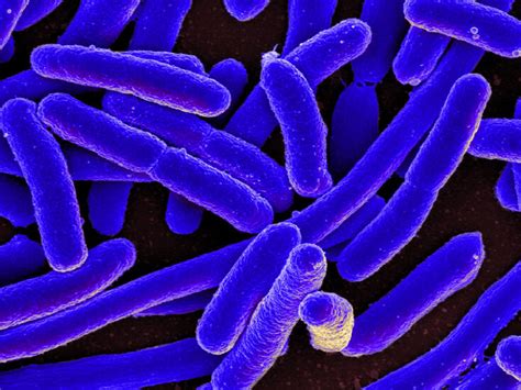 Snipr Biome Commences Dosing In Phase I Trial Of Crispr Based Therapy