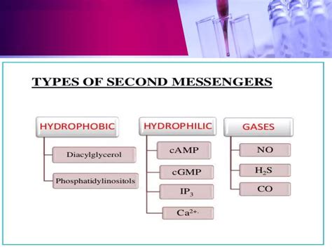 Cellular Signalling And Its Components Ppt