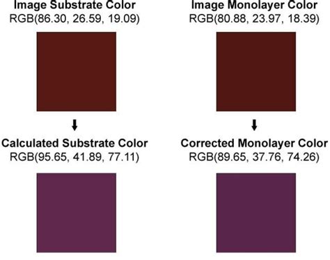 Figure 21 From A Novel Computer Algorithm For Automating Nano Scale