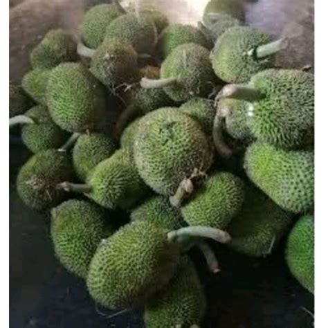 Jual Sayuran Kluwih Kluweh 2 Biji 2 Buah Segar Shopee Indonesia