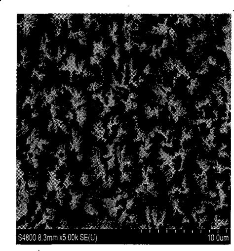 Technology Of Silicon Nano Wires Without Electrodeposit Nickel And Thermoelectric Power Device