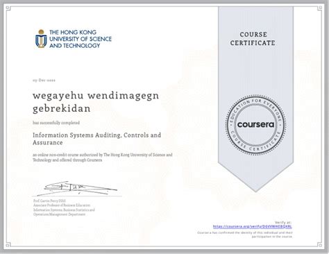 Information Systems Auditing Controls And Pdf