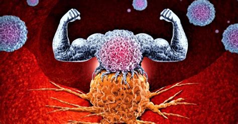 ‘암세포도 금쪽이처럼…정상세포로 ‘가역치료 원리 풀렸다