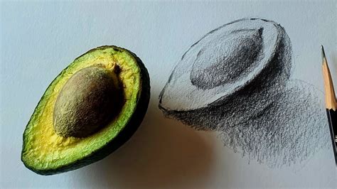 그리기 10분 아보카도 그리기 Youtube