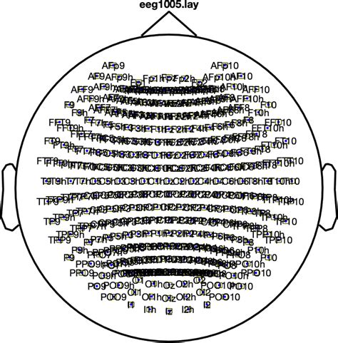 Template D Layouts For Plotting FieldTrip Toolbox