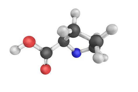 「proline」の画像 5 905 件の Stock 写真、ベクターおよびビデオ Adobe Stock