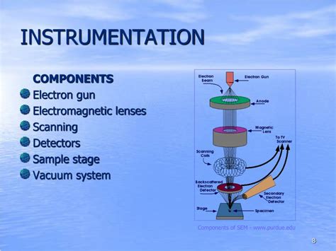 Ppt Sem Scanning Electron Microscope Powerpoint Presentation Free