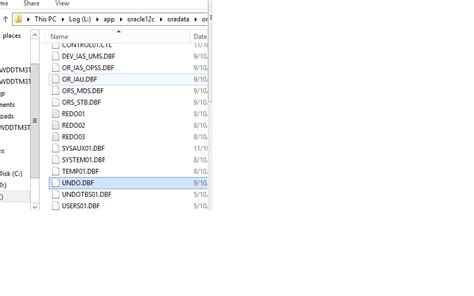 Solved Error When Connecting To Newly Installed Oracle 11gr2 Express