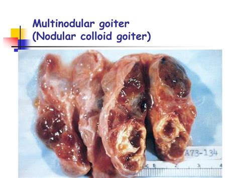 Ppt بسم الله الرحمن الرحيم Powerpoint Presentation Id 6841627