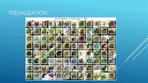 Ppt Rich Feature Hierarchies For Accurate Object Detection And Semantic Segmentation