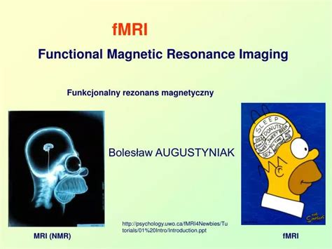 PPT FMRI PowerPoint Presentation Free Download ID 2700805