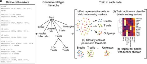 Automated Annotation Full