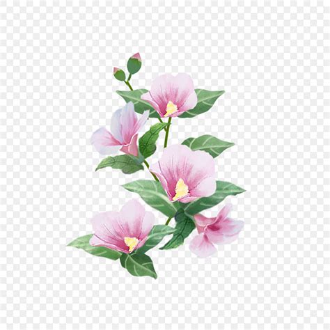 손으로 분홍색 한국 히비스커스 라 그린 무궁화 일러스트 히비스커스 꽃 클립 아트 분홍 손으로 그린 Png 일러스트 및 Psd 이미지 무료 다운로드 Pngtree