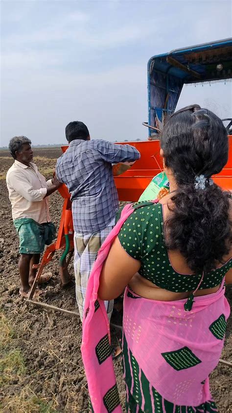 మొక్కజొన్న విత్తనాలు 🌺🫶🌺sanabeauty89 Shabana Syed Shabana Syed · Original Audio