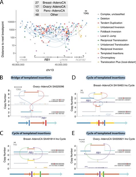 Patterns Of Somatic Structural Variation In Human Cancer Genomes Pmc