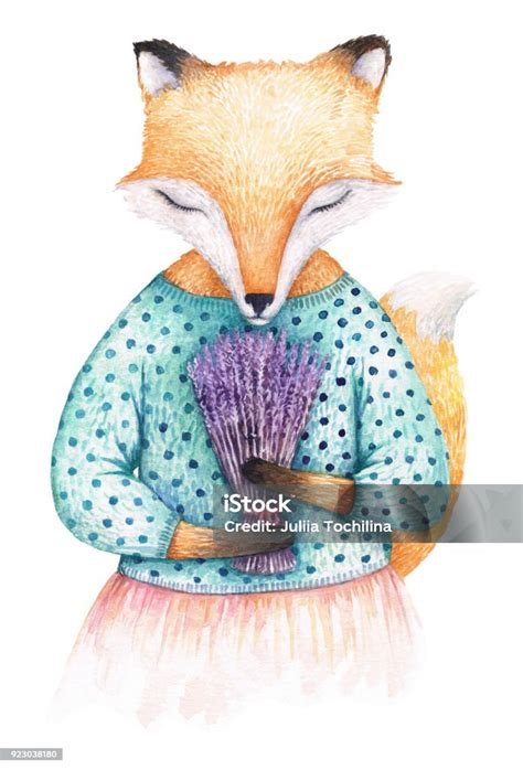 라벤더 꽃다발의 향기를 호흡 하는 여우 수채화 그림 흰색 배경에 고립입니다 생일에 대한 스톡 벡터 아트 및 기타 이미지 생일 여우 귀여운 Istock