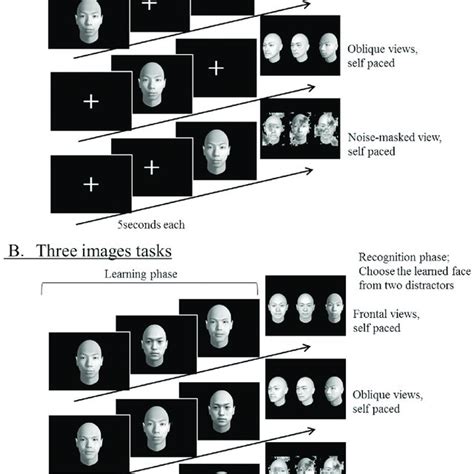 Procedure Of The Multiview Face Recognition Test Participants Were Download Scientific Diagram