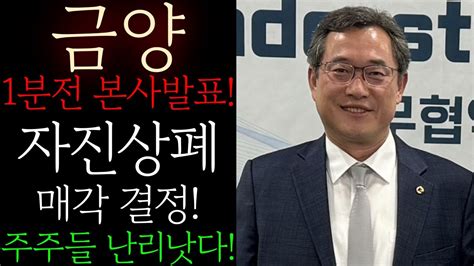 🔵 금양 긴급 1분전 충격발표 자진상폐 매각결정 공시 류광지회장 죄송합니다 소문이 진짜였네요 주주들 난리낫다 무조건