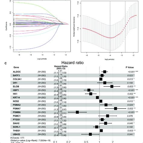 A Tenfold Cross Validation For Tuning Parameter Selection In The