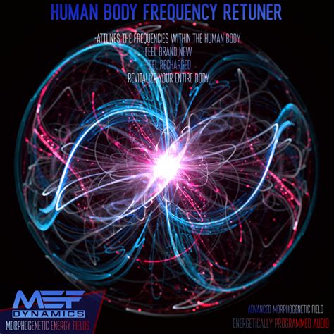 Human Body Frequency Re Tuner Morphic Field