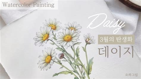 데이지 수채화 컬러링 3월의 탄생화 Watercolor Daisy 꽃그리기 Youtube