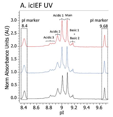 Triplicate Injections Of Stressed Mab Demonstrating Repeatability Of Download Scientific