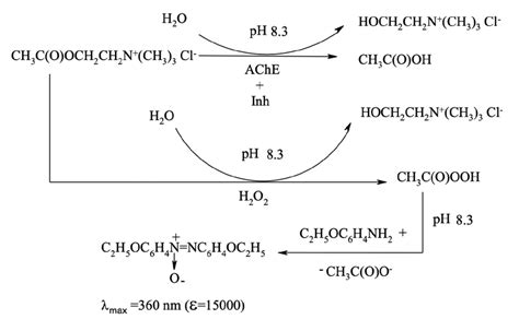 The Scheme Of Processes Of The Analytical Determination Download