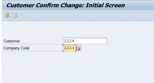 Single Customer Master Record Confirmation Changes In SAP SAP Tutorials