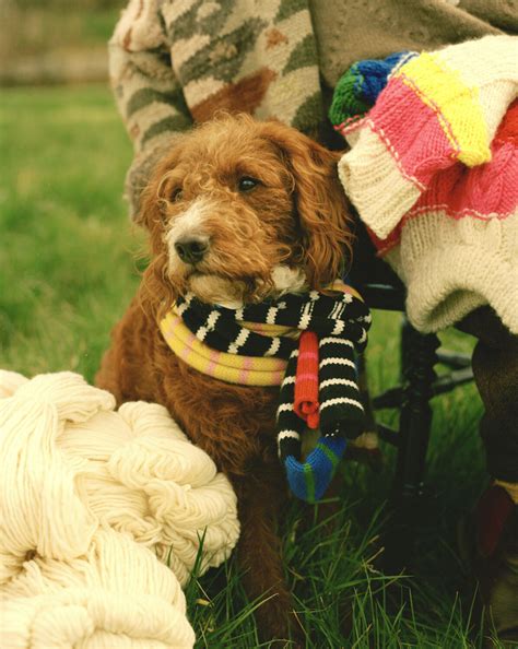 Daniel Tulloch For La Fetiche Aw22 — La Fetiche