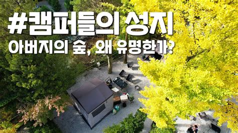 캠퍼들의 성지 예약불가라는 캠핑장 직접 다녀왔습니다아버지의 숲 예약 오픈런 필수가을캠핑단풍캠핑campingv Log