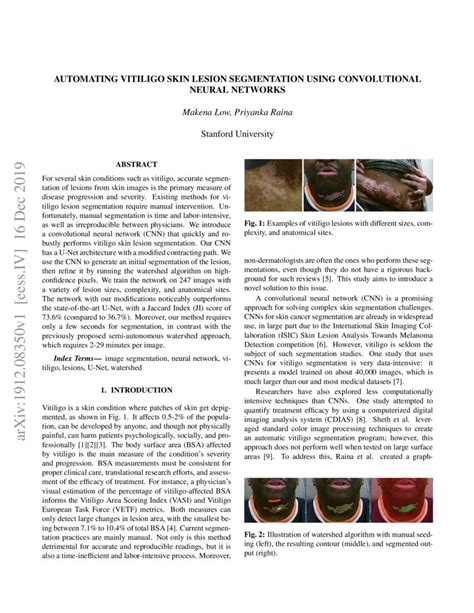 automating vitiligo skin lesion segmentation using convolutional neural networks deepai