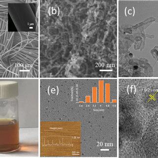 A Sem Image Of Cc Inset Magnified Sem Image B Sem Image Of Download Scientific Diagram