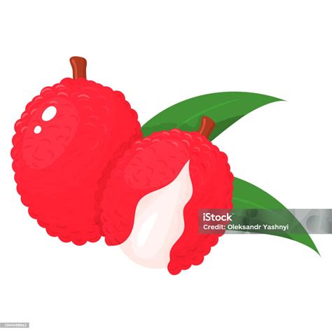 흰 배경에 잎이 분리 된 신선한 전체와 반 껍질을 벗긴 열매 과일 건강한 라이프 스타일을위한 여름 과일 유기농 과일 만화 스타일 모든 디자인에 대한 벡터 그림입니다 0명에