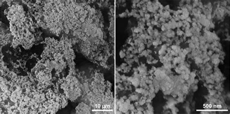 Bioglass Particle Micrographs At 50000× And 150000× Magnifications Download Scientific Diagram