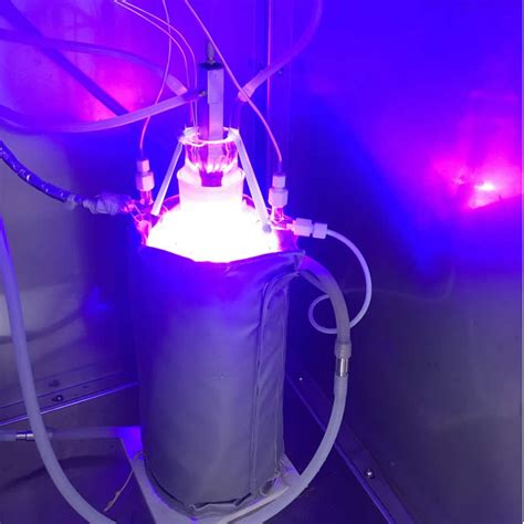 实验型光氯化反应器 上海桂戈实业有限公司