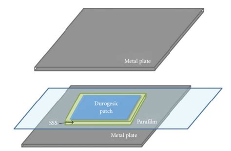 In Vitro Release Testing Of Transdermal Formulation Cd Formulation