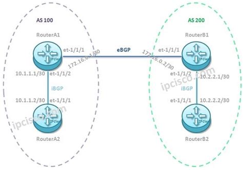 Bgp Protocol Number Roy Hannifan