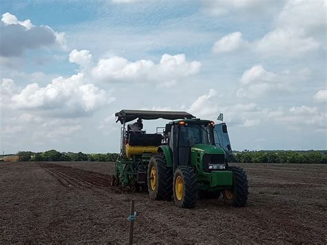 Josias Lenon Antonovviski No Linkedin Corn Research Development