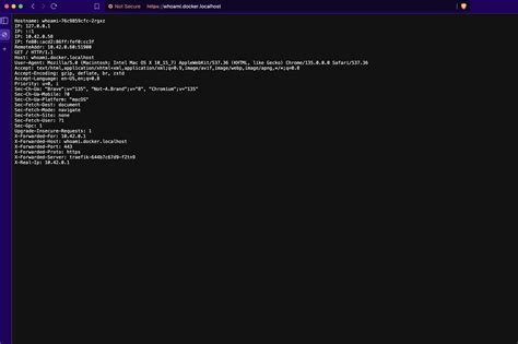 Setup Traefik Proxy In Docker Standalone Traefik