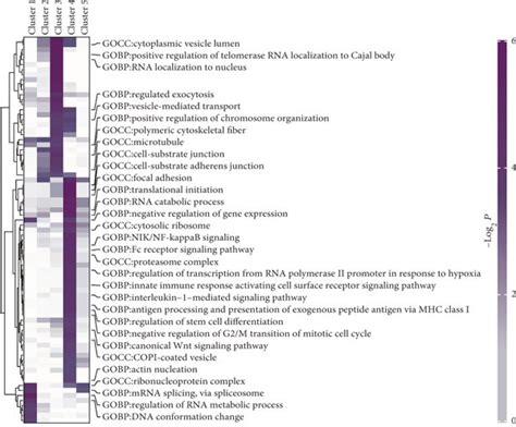 Clustering And Functional Overrepresentation Analysis Of Differential