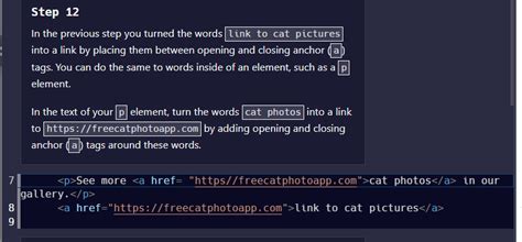 Building Cat Photo Step 12 Html Css The Freecodecamp Forum